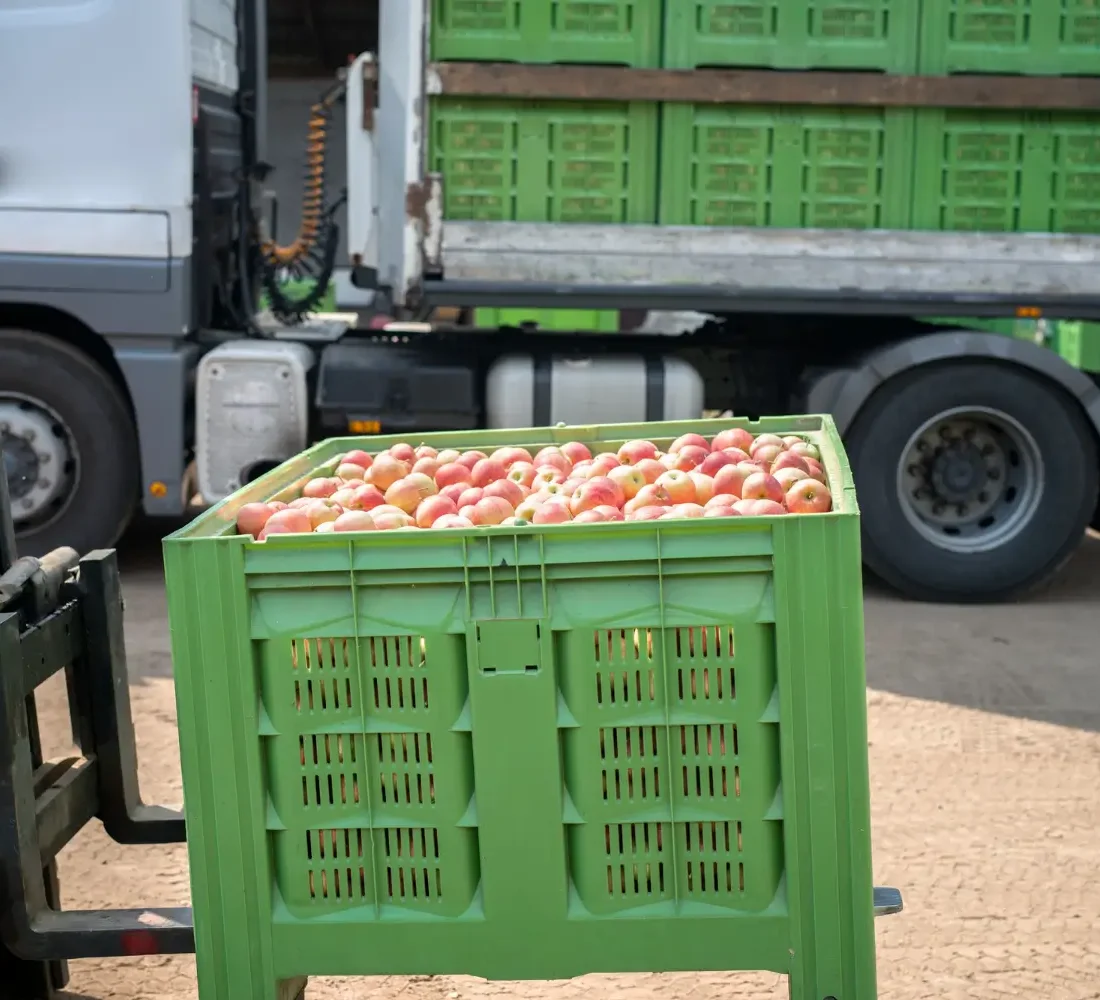 About Us – Ali Pack