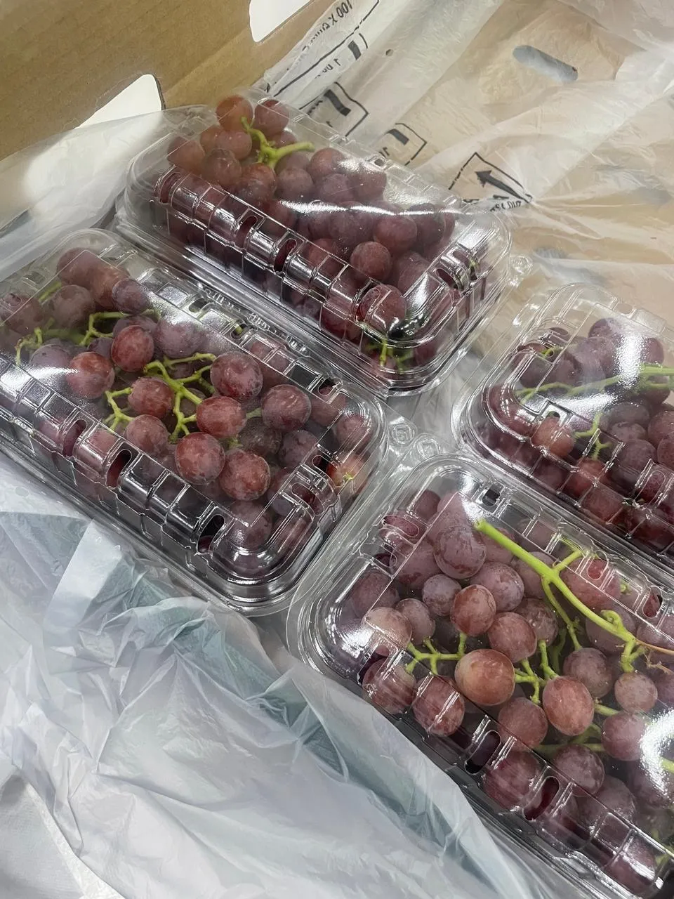 About Us – Ali Pack